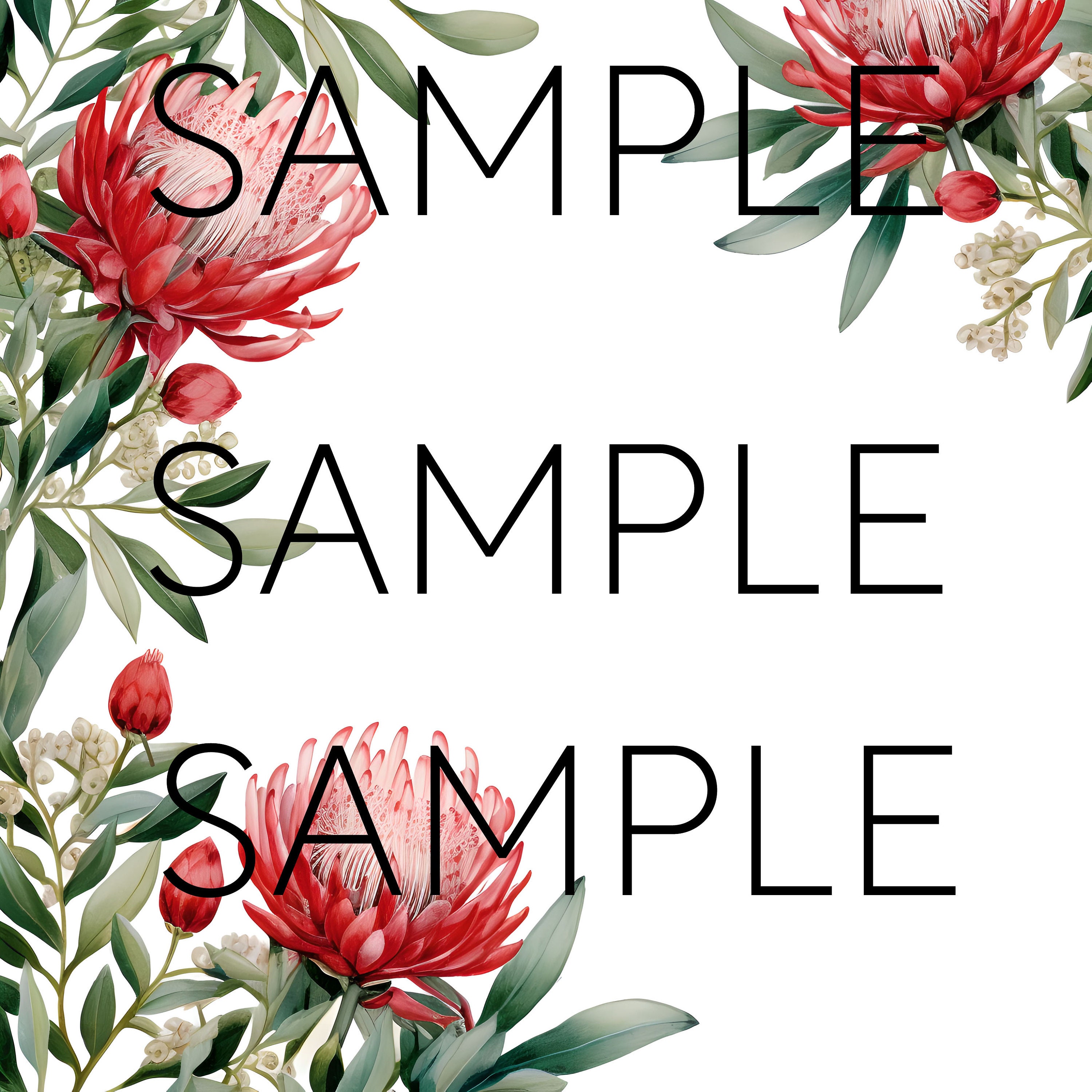 Australian Native Floral Border Australian Flowers Waratah - Etsy Australia