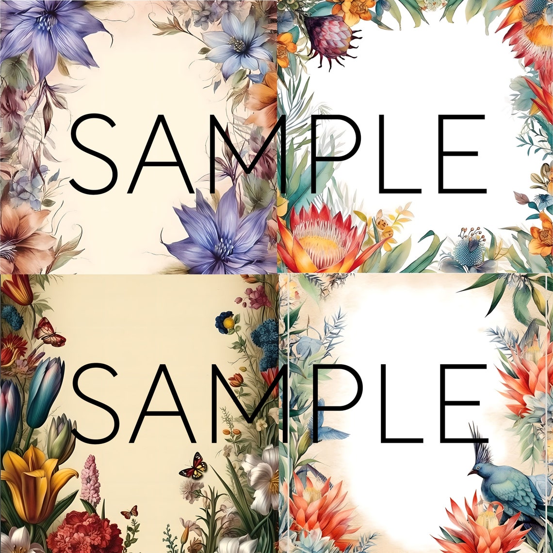 Australian Native Floral Border Australian Flowers Templates - Etsy