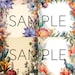 Australian Native Floral Border Australian Flowers Templates Aussie ...