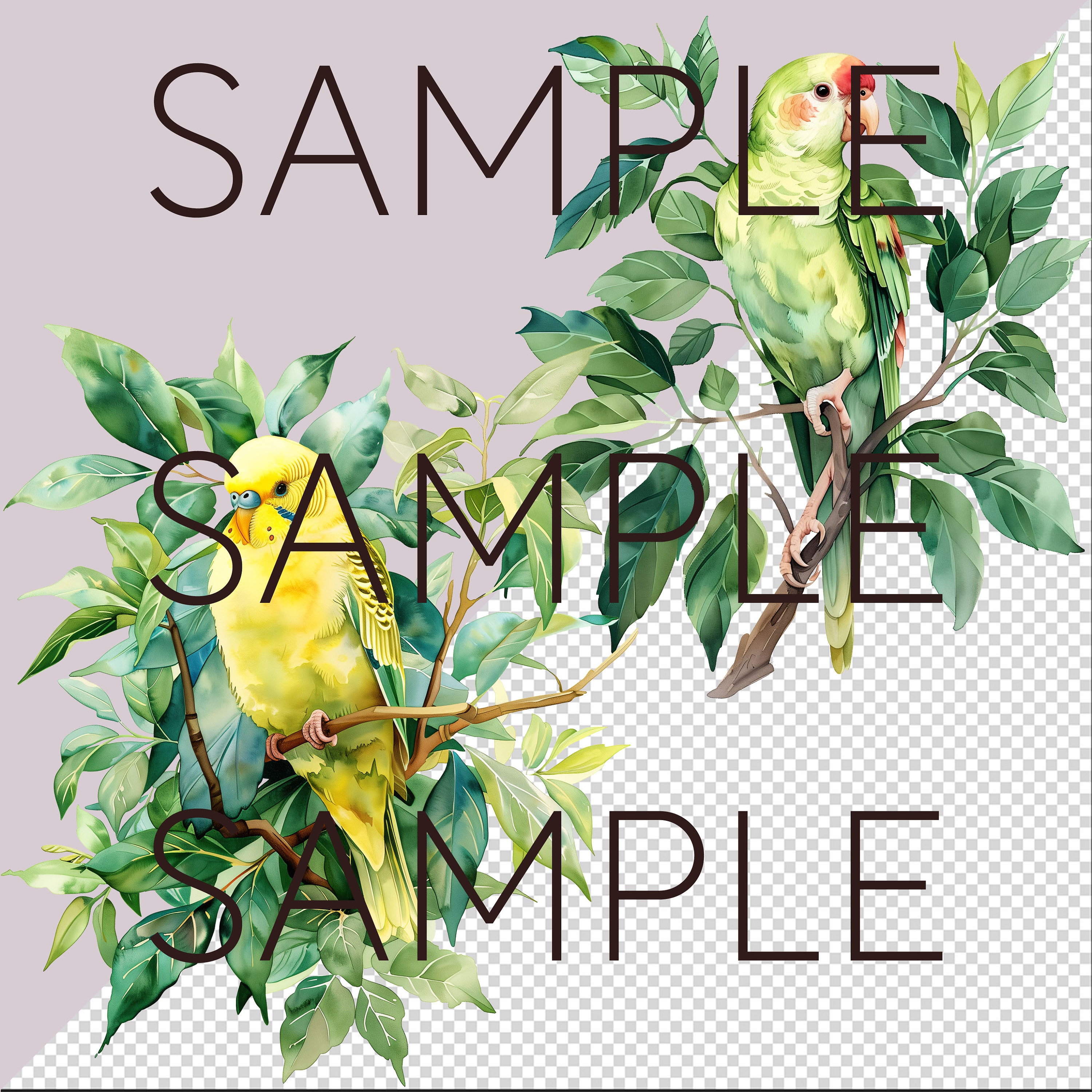 Australian Native Birds Foliage Clipart Aussie Native Birds ...