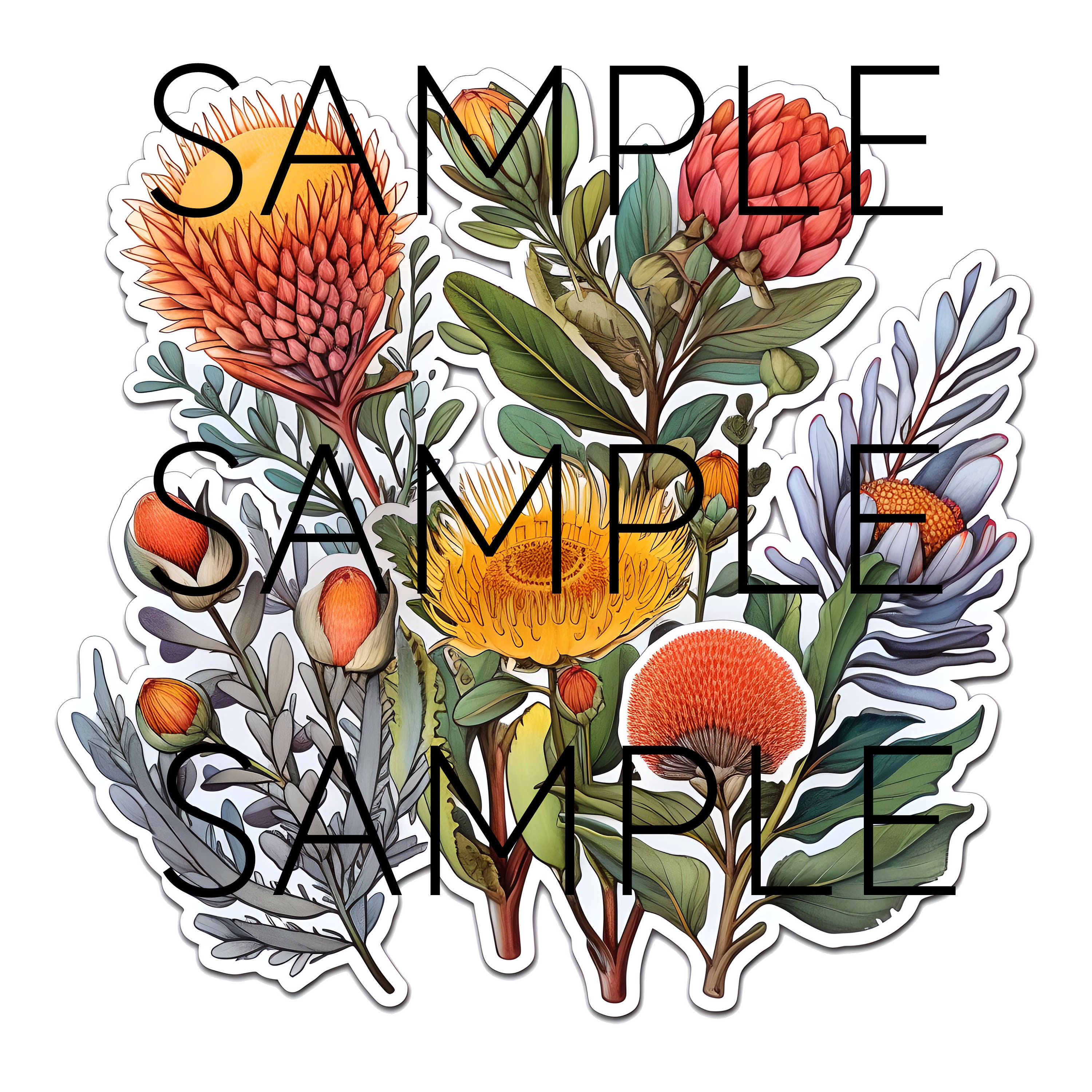 Native Australian Flower Bouquet Clipart Pack Aussie Native Floral ...