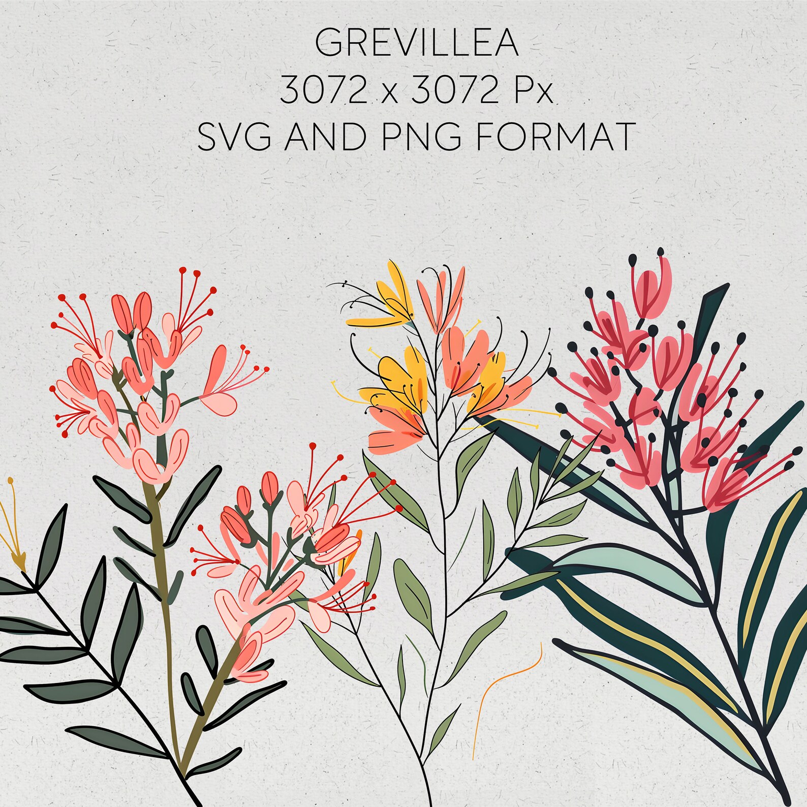 Australian Native Flowers SVG Aussie Botanicals Coloured Plotter File ...