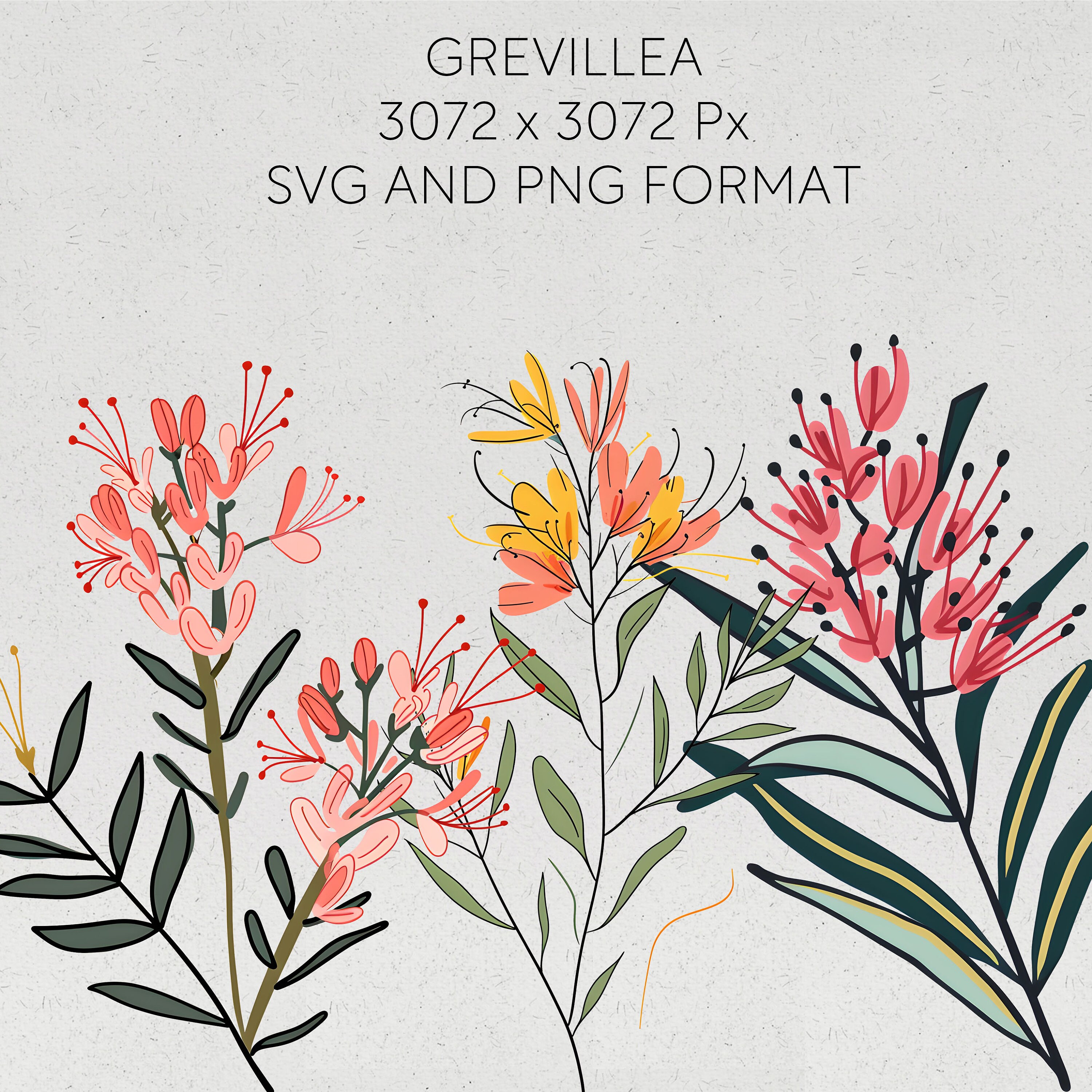 Australian Native Flowers SVG Aussie Botanicals Coloured Plotter File ...