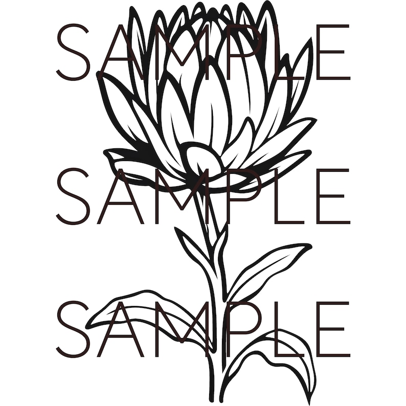 Australian Native Flowers Protea SVG Aussie Botanicals Plotter File Svg ...