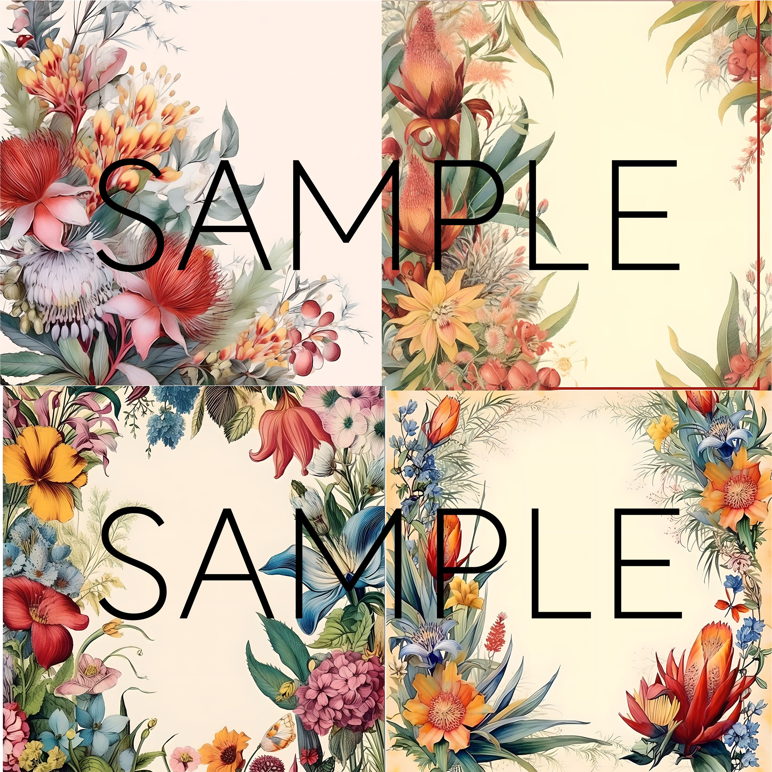 Australian Native Floral Border Australian Flowers Templates - Etsy