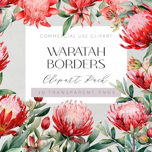 Australian Native Floral Border Australian Flowers Waratah Borders ...