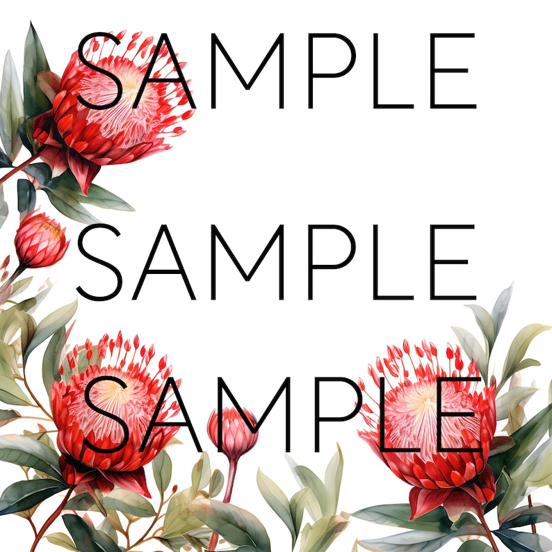 Australian Native Floral Border Australian Flowers Waratah - Etsy