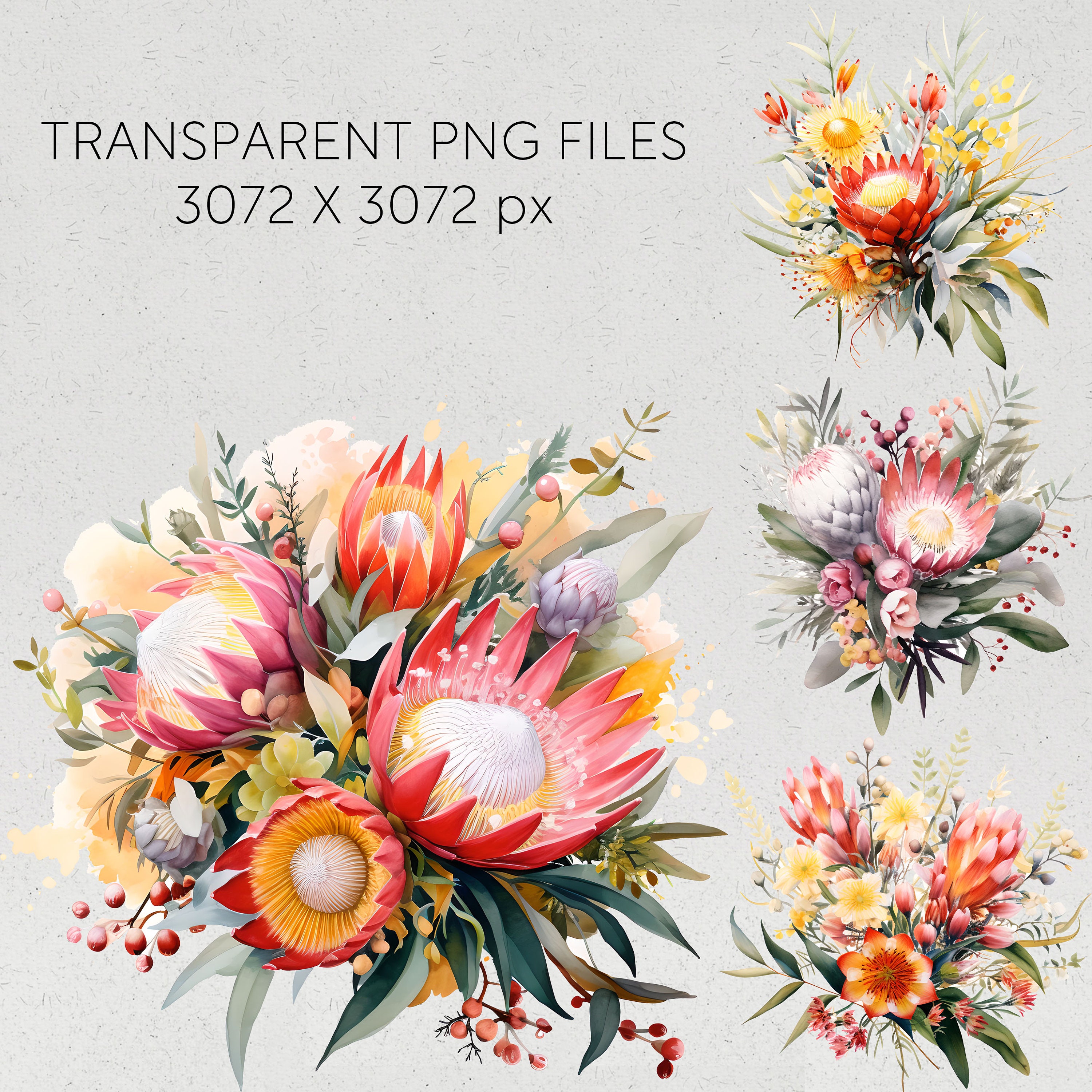 Australian Native Flowers Clipart Bouquet Flowers Transparent Pngs ...
