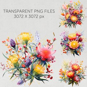 Australian Native Flowers Clipart Bouquet Flowers Transparent Pngs ...