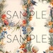 Australian Native Floral Border Australian Flowers Templates Aussie ...