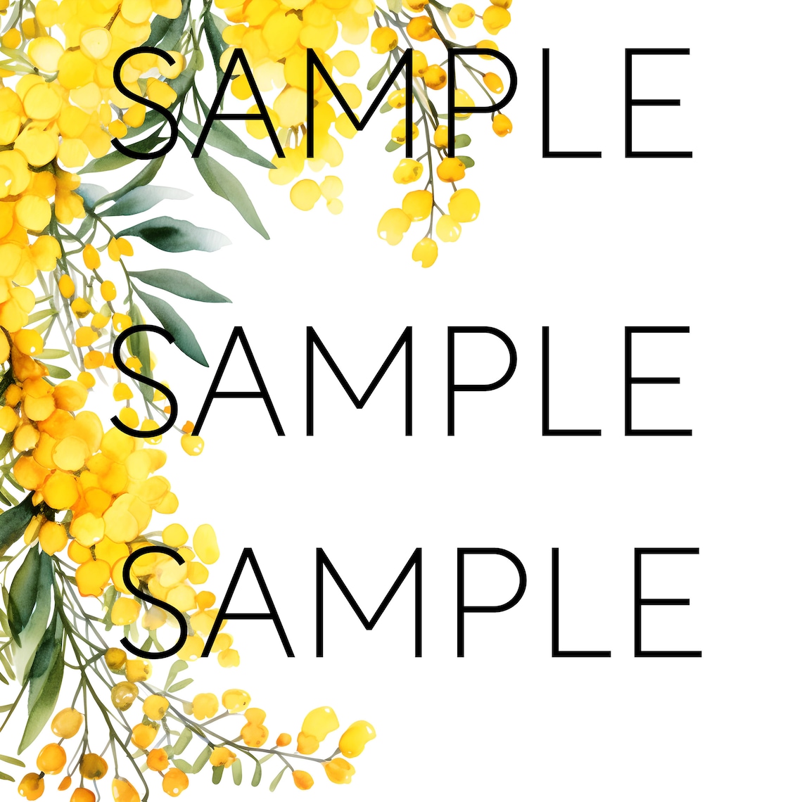 Australian Native Floral Border Australian Flowers Wattle Borders ...