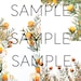Australian Native Floral Border Australian Flowers Banksia Borders ...