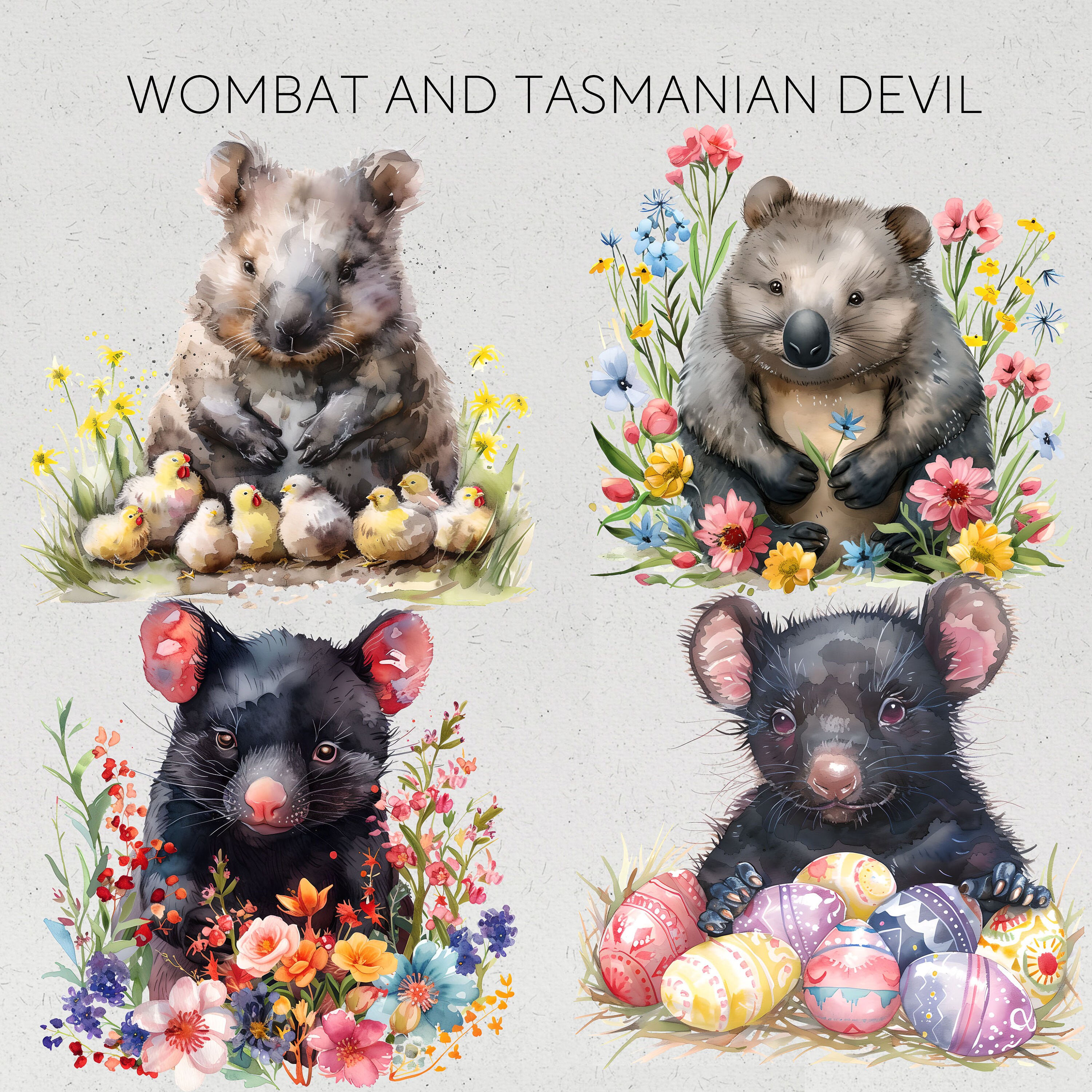 Easter Australian Native Animals Clipart Aussie Kangaroo Illustrations ...