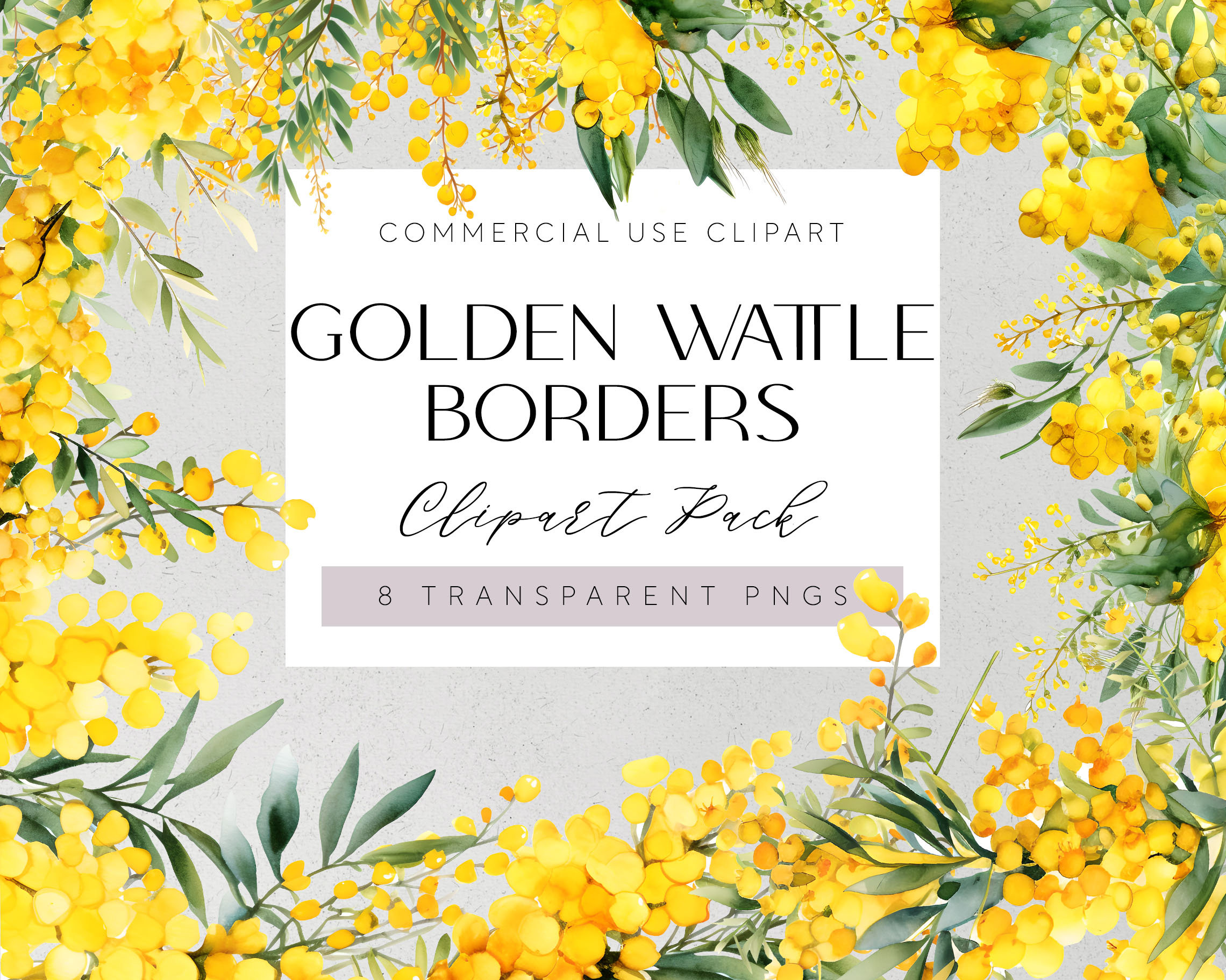 Australian Native Floral Border Australian Flowers Wattle Borders ...