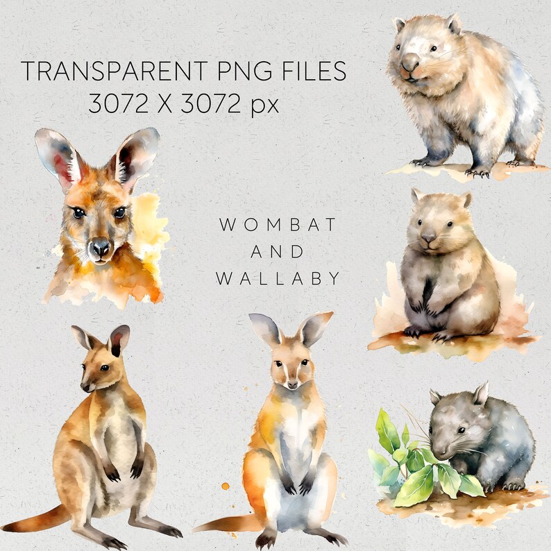 Australian Native Animals Clipart Aussie Kangaroo Illustrations ...