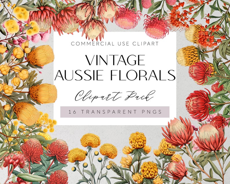 Australian Native Flowers Clipart Vintage Flowers Transparent - Etsy