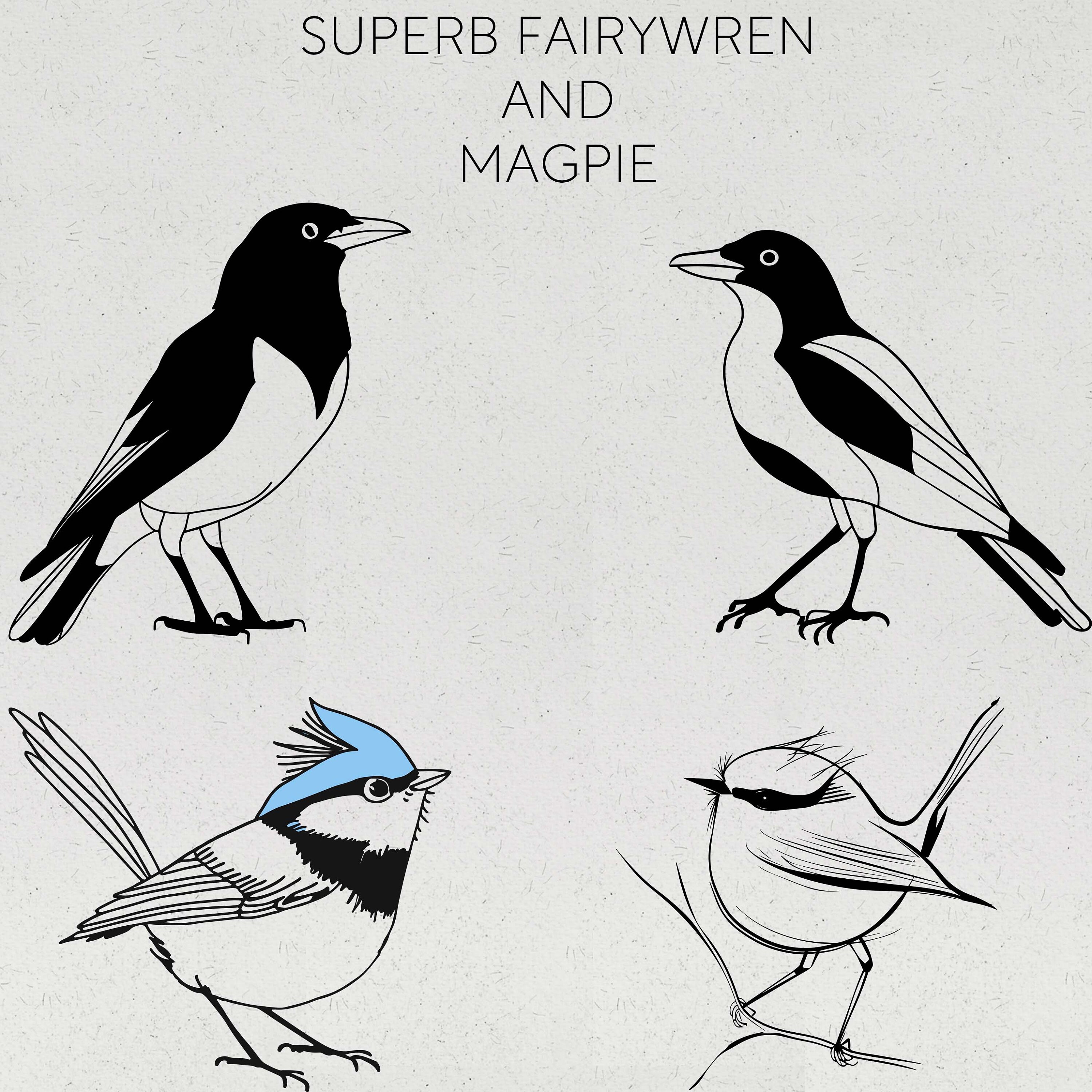 Australian Native Bird SVG Aussie Native Birds PNG Australian Birds ...