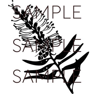 Australian Native Flowers Grevillea SVG Aussie Botanicals Plotter File ...