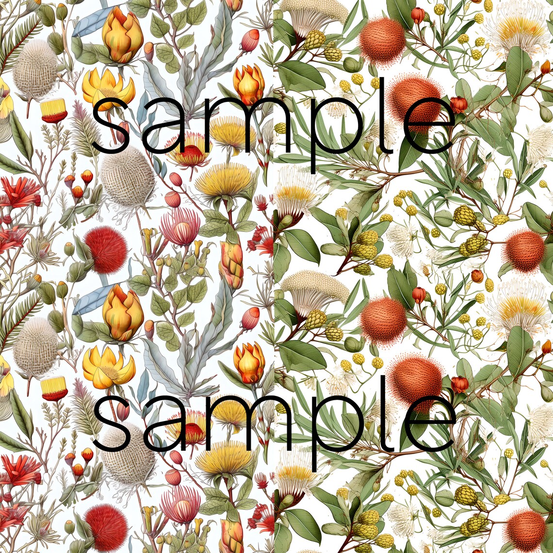 Australian Native Flowers Seamless Pattern PNG Aussie Floral Native ...