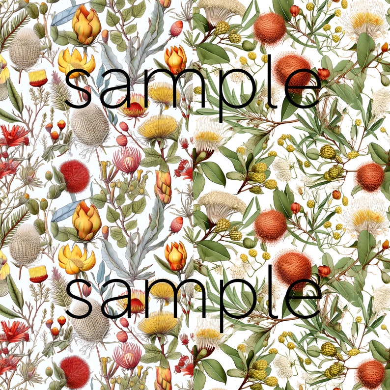 Australian Native Flowers Seamless Pattern PNG Aussie Floral Native ...