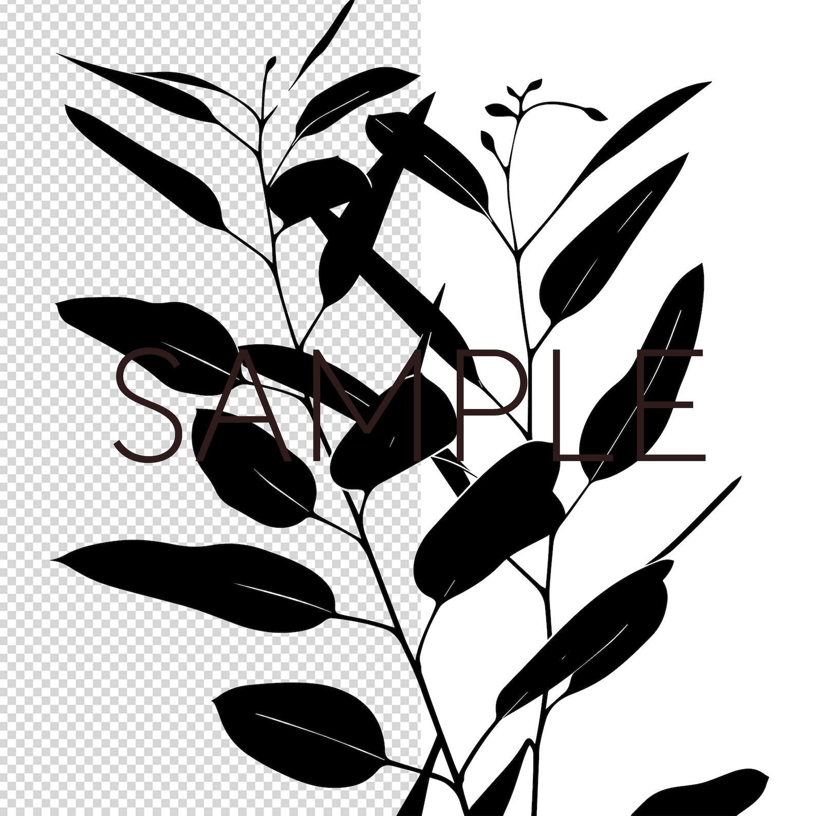 Australian Native Flowers Eucalyptus SVG Aussie Botanicals Plotter File ...