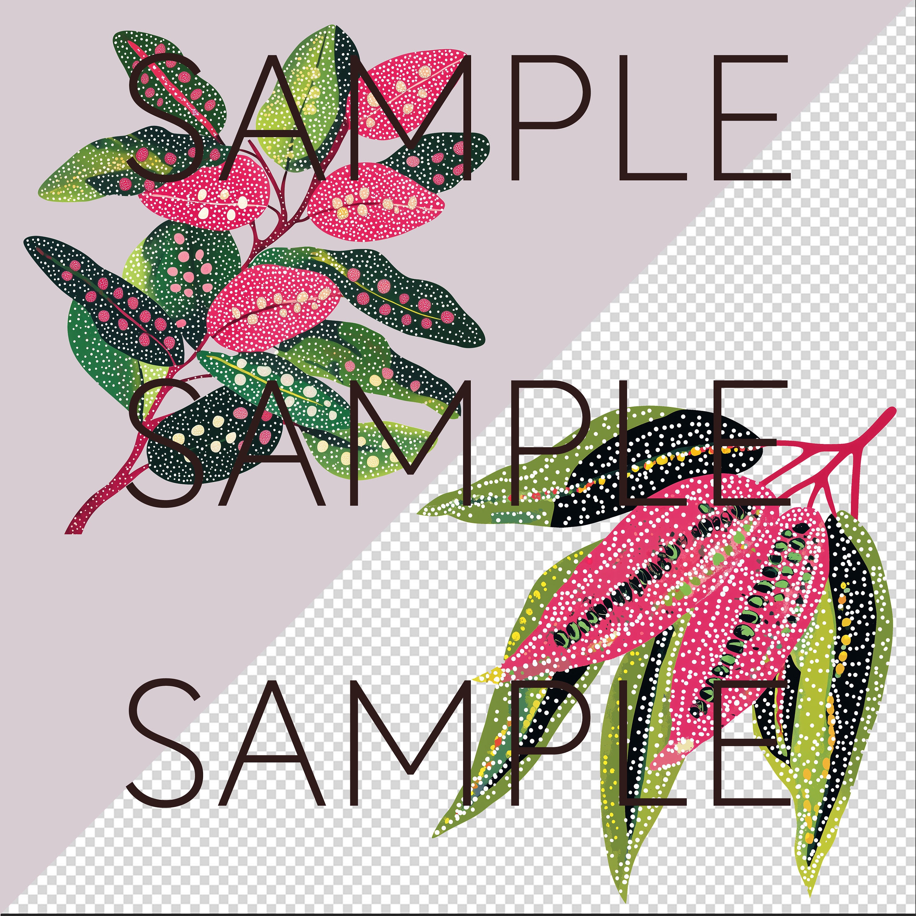 Aboriginal Australian Native Leaves Clipart Eucalyptus Transparent Pngs ...