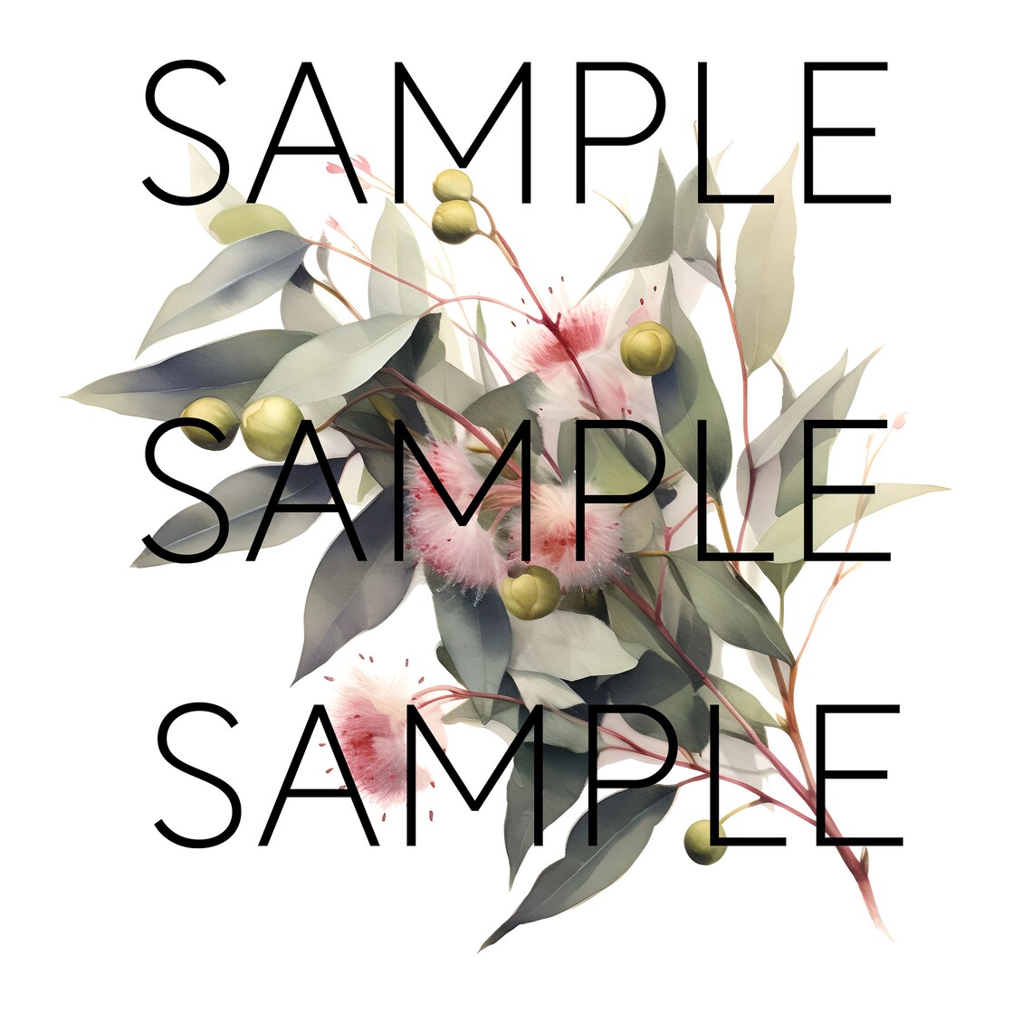 Australian Native Flowers Clipart Gumnut Blossoms Eucalyptus - Etsy ...