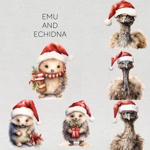 Christmas Australian Native Animals Clipart Aussie Kangaroo ...