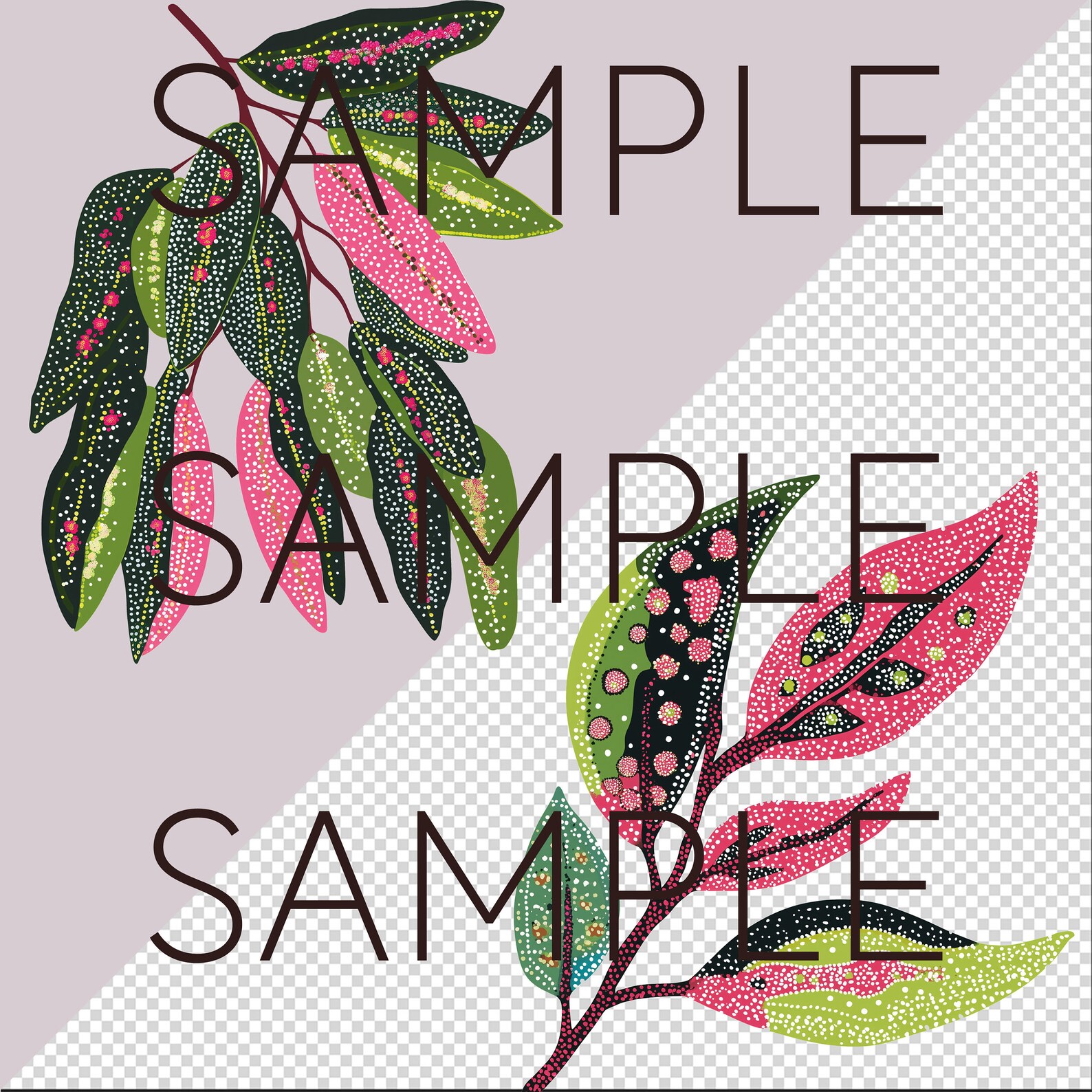Aboriginal Australian Native Leaves Clipart Eucalyptus Transparent Pngs ...
