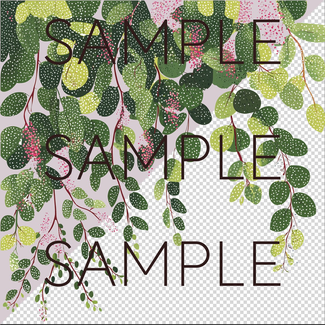 Aboriginal Australian Native Leaves Clipart Eucalyptus Transparent Pngs ...