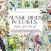 Australian Native Floral Border Australian Flowers Templates Aussie ...