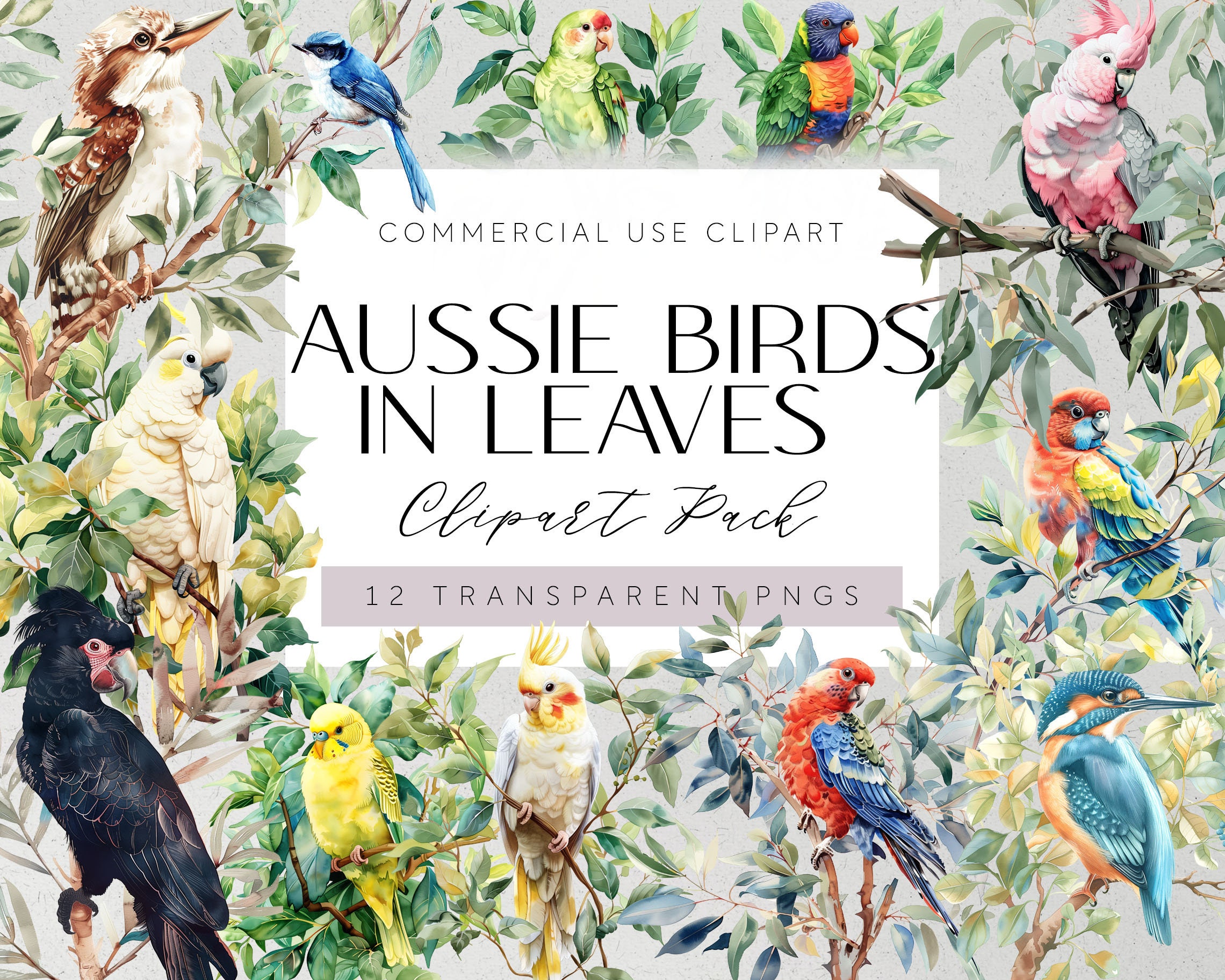 Australian Native Birds Foliage Clipart Aussie Native Birds ...