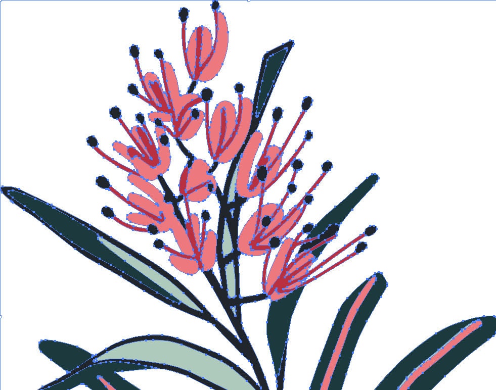 Australian Native Flowers SVG Aussie Botanicals Coloured Plotter File ...