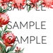 Australian Native Floral Border Australian Flowers Waratah Borders ...