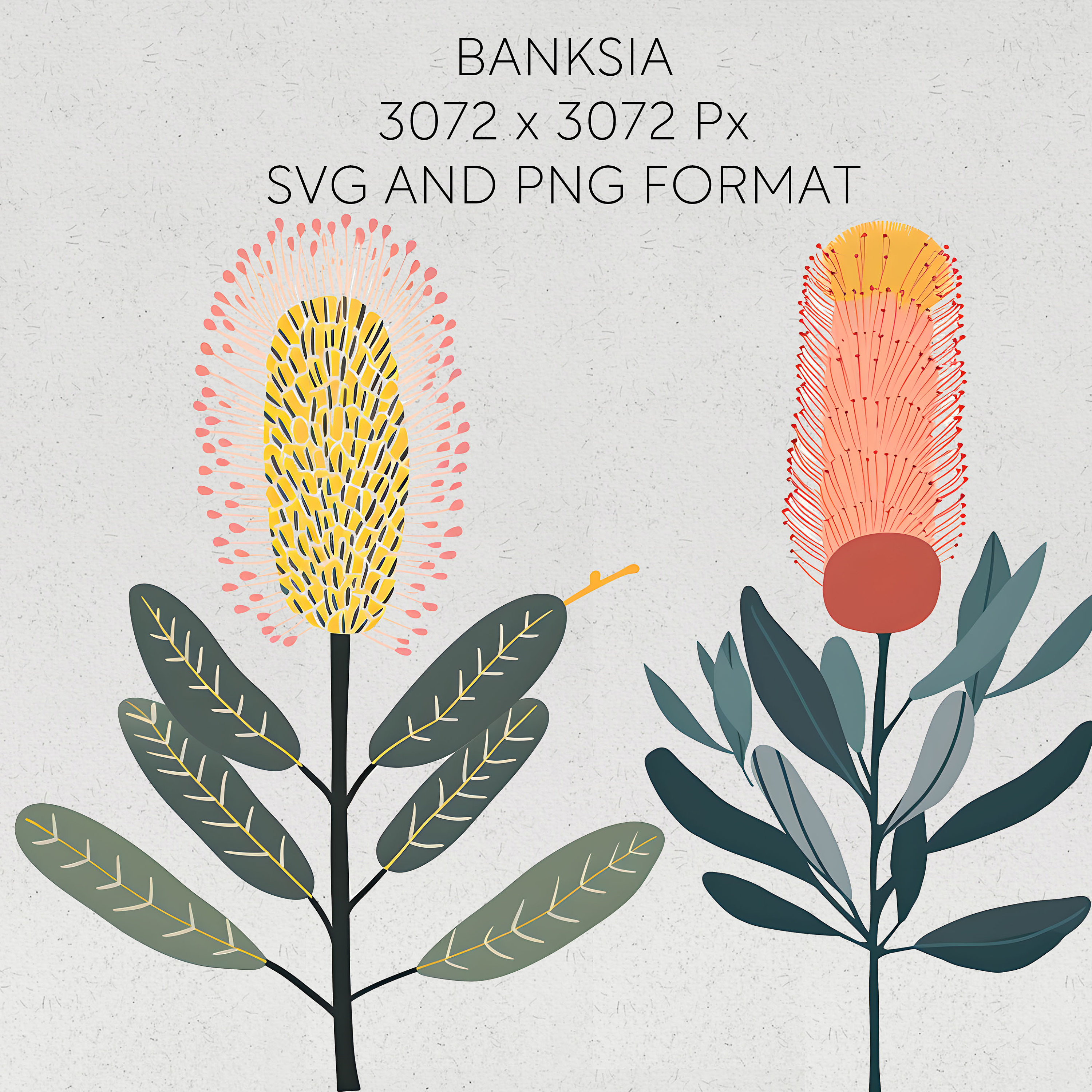 Australian Native Flowers SVG Aussie Botanicals Coloured Plotter File ...