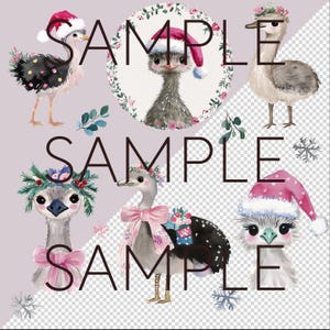 Christmas Australian Native Animals Clipart Aussie Kangaroo ...