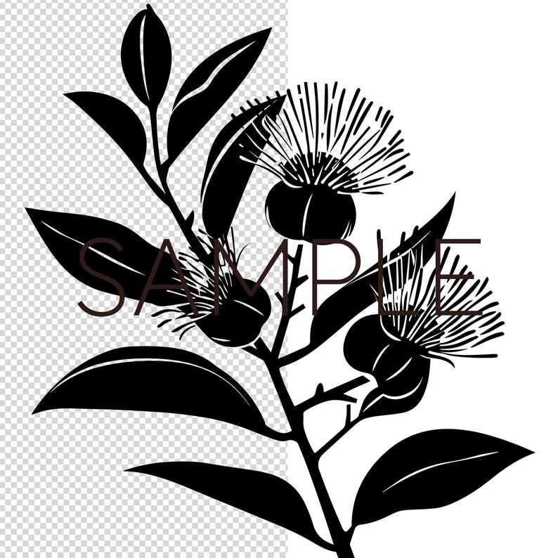 Australian Native Flowers Eucalyptus Flower SVG Aussie Botanicals ...