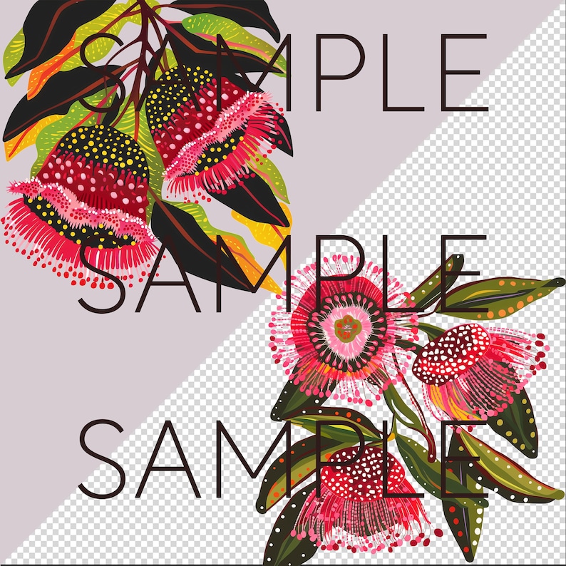 Aboriginal Australian Native Flowers Clipart Flowers Transparent Pngs ...