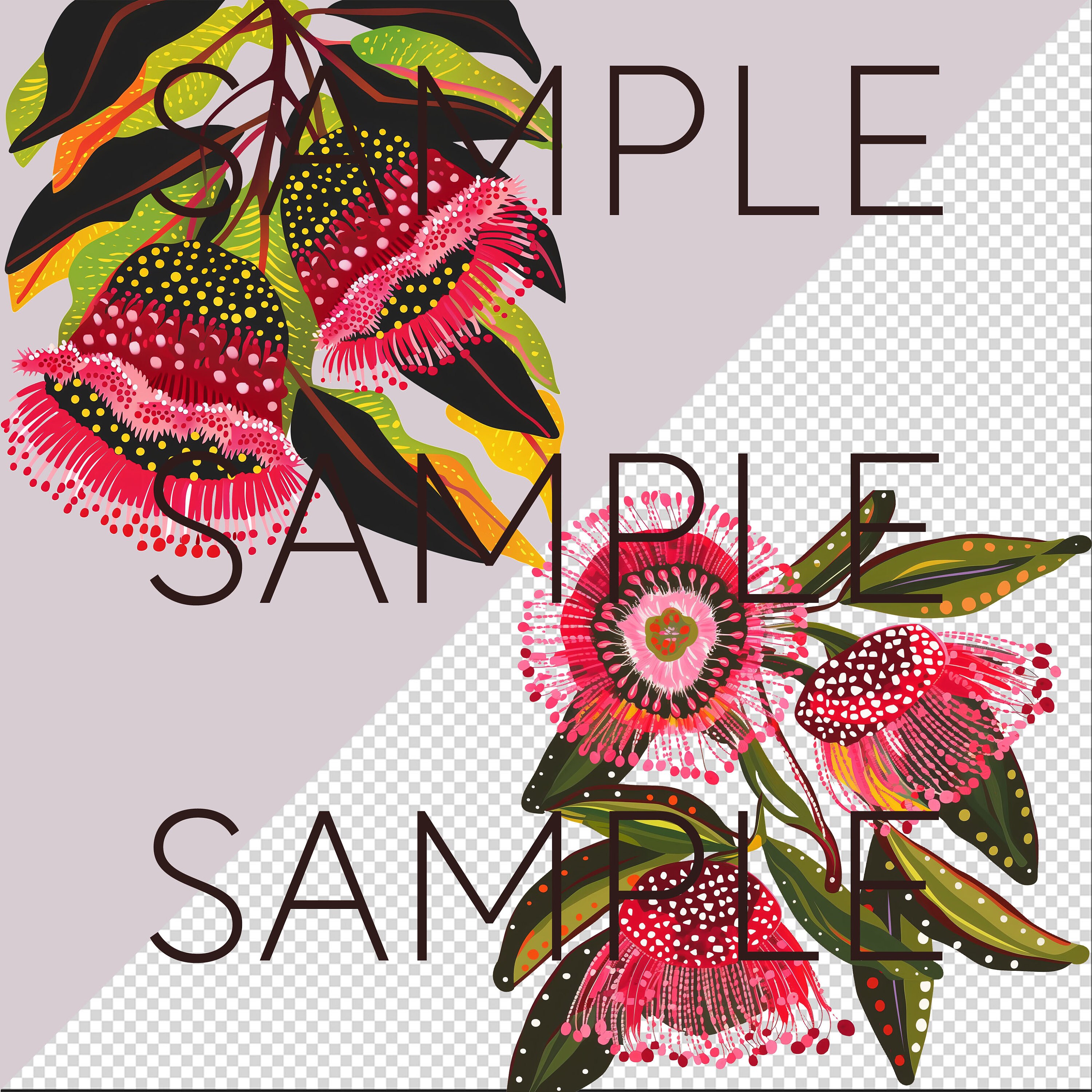 Aboriginal Australian Native Flowers Clipart Flowers Transparent Pngs ...
