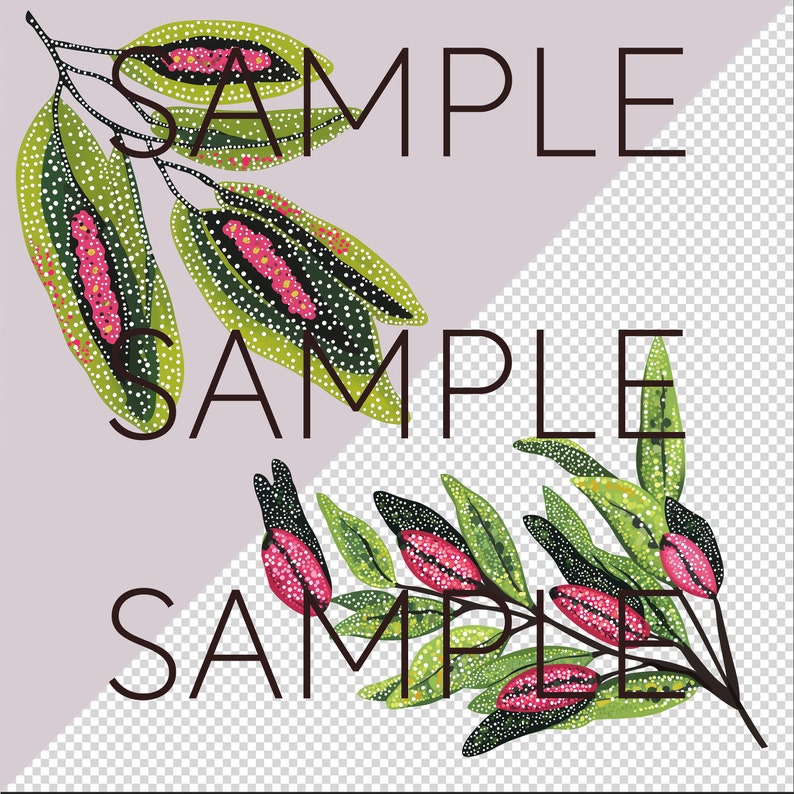 Aboriginal Australian Native Leaves Clipart Eucalyptus Transparent Pngs ...