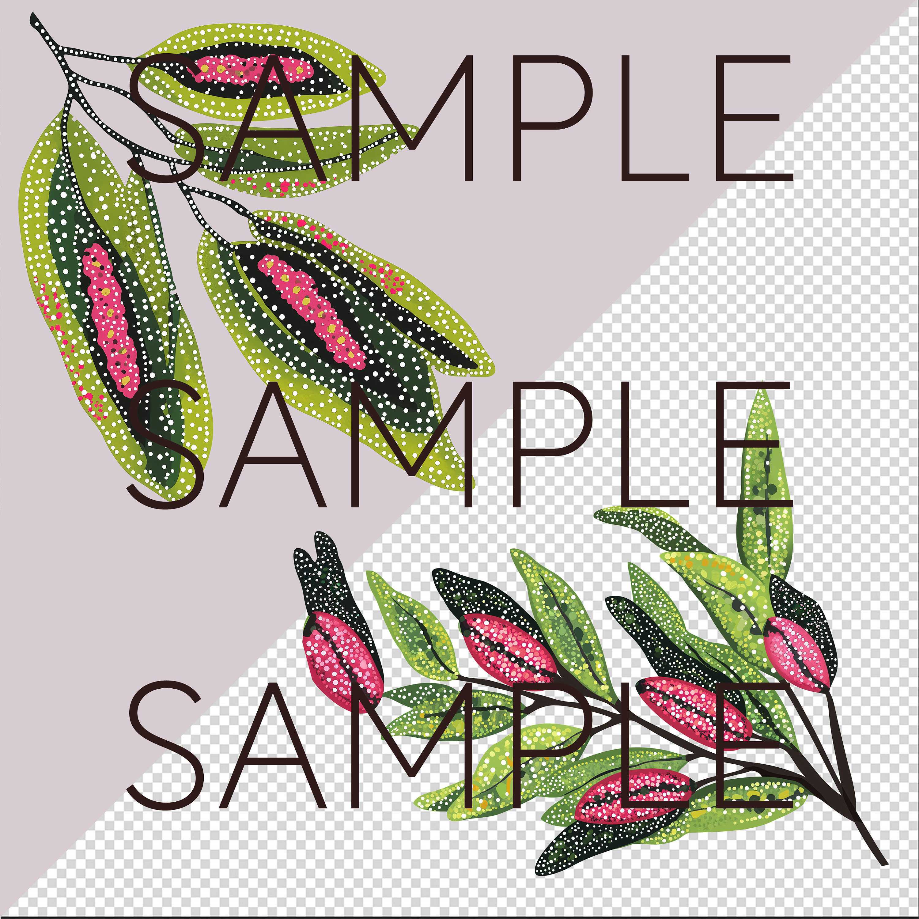 Aboriginal Australian Native Leaves Clipart Eucalyptus Transparent Pngs ...