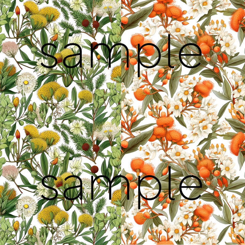 Australian Native Flowers Seamless Pattern PNG Aussie Floral Native ...