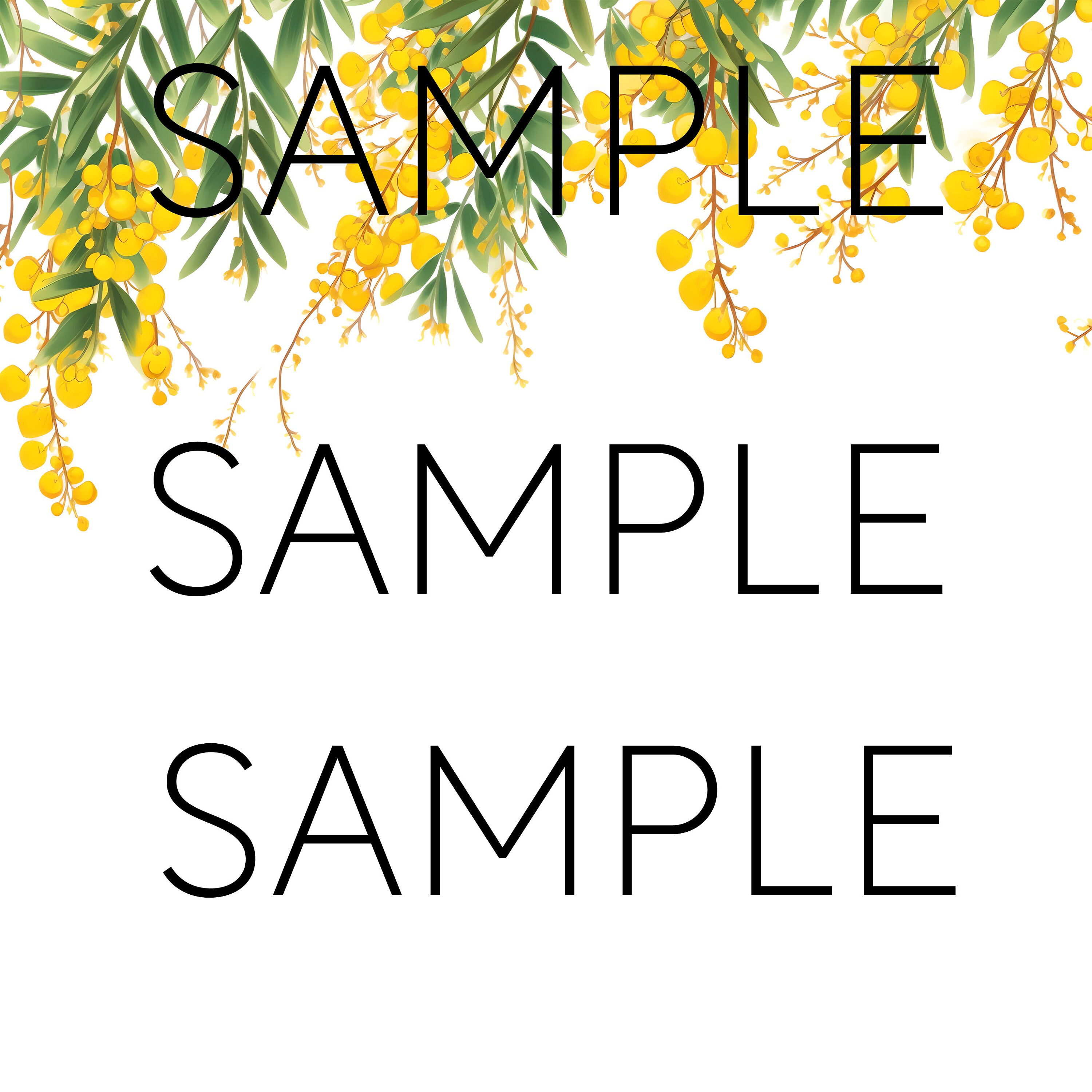 Australian Native Floral Border Australian Flowers Wattle Borders ...