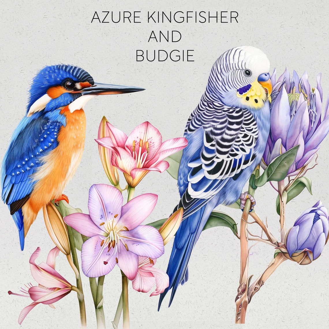 Australian Native Birds Floral Clipart Aussie Native Birds ...