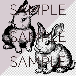 Vintage Rabbit SVG Teacup Bunny Plotter File Svg Maid Outfit Bunnies ...