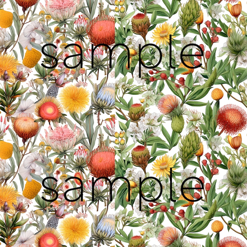 Australian Native Flowers Seamless Pattern PNG Aussie Floral Native ...