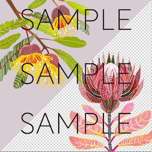 Aboriginal Australian Native Flowers Clipart Flowers Transparent Pngs ...