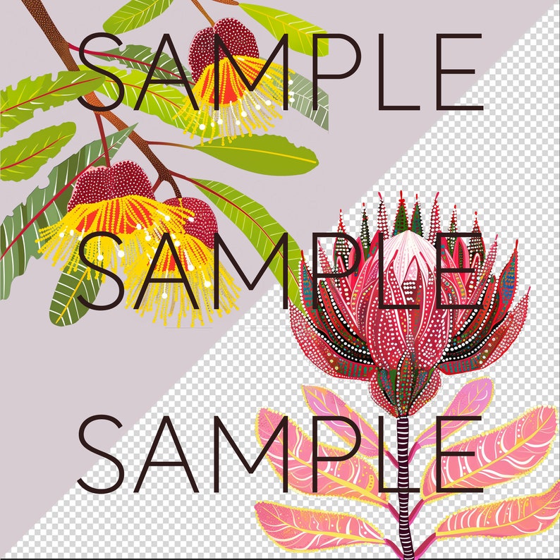 Aboriginal Australian Native Flowers Clipart Flowers Transparent Pngs ...