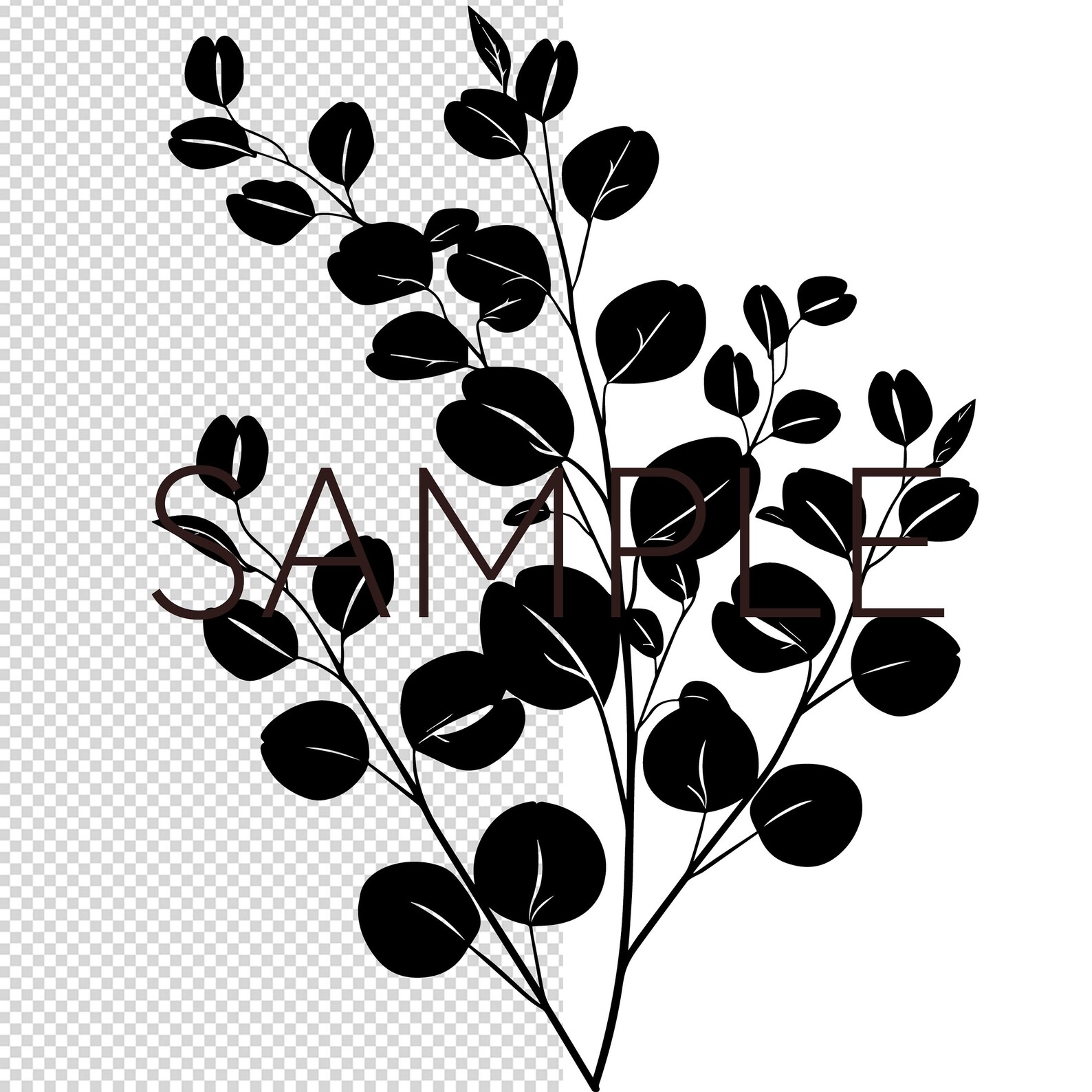 Australian Native Flowers Eucalyptus SVG Aussie Botanicals Plotter File ...