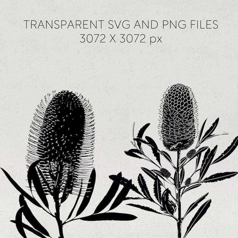 Australian Native Flowers SVG Aussie Botanicals Plotter File Svg ...